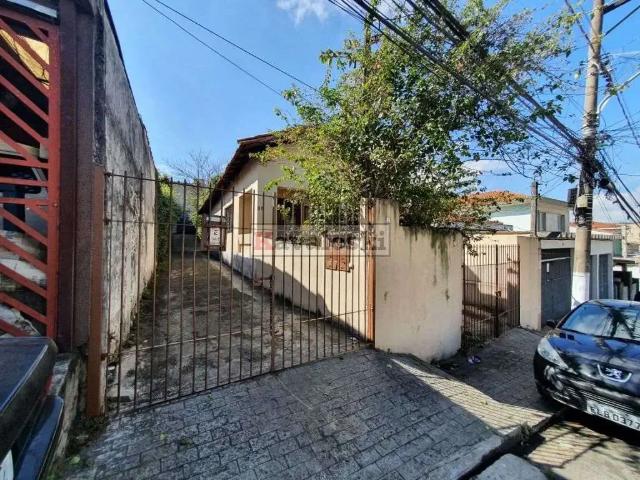 Terreno / Lote para Venda em São Paulo/SP Vila Brasílio Machado