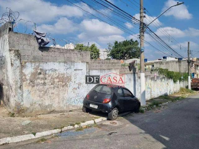 Terreno / Lote para Venda em São Paulo/SP Vila Curuçá