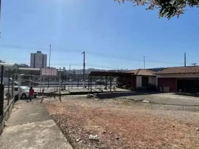 Terreno / Lote para Venda em São Paulo/SP Vila Califórnia