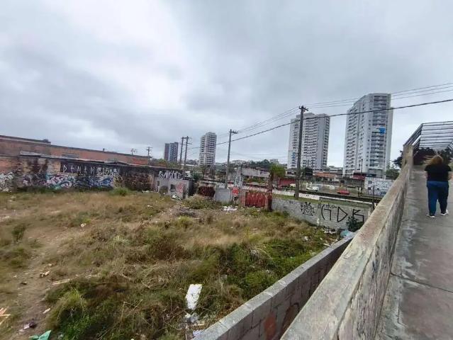 Terreno / Lote para Venda em São Paulo/SP Vila Califórnia