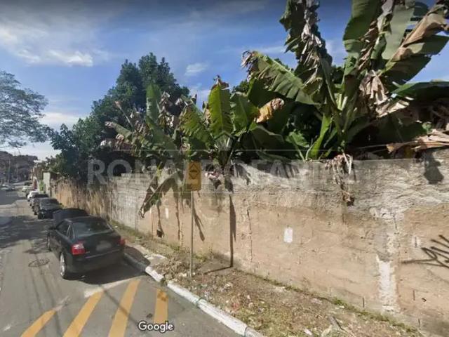 Terreno / Lote para Venda em São Paulo/SP Vila Calu