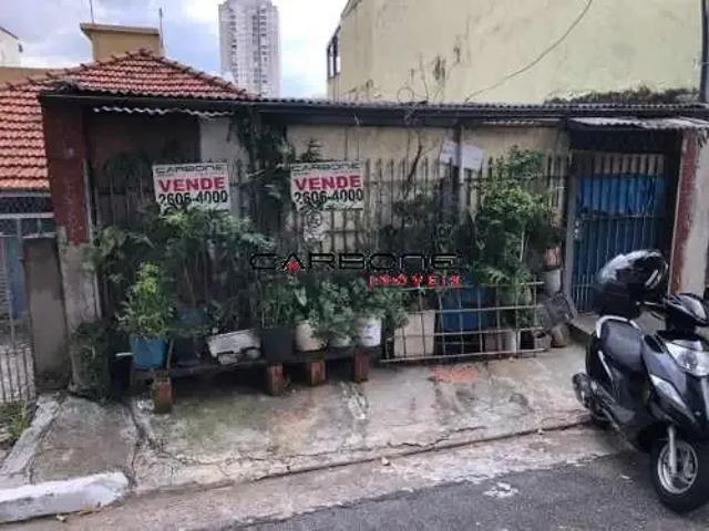 Terreno / Lote para Venda em São Paulo/SP Vila Canero