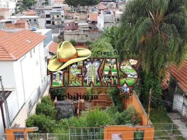 Terreno / Lote para Venda em São Paulo/SP Vila Carrão