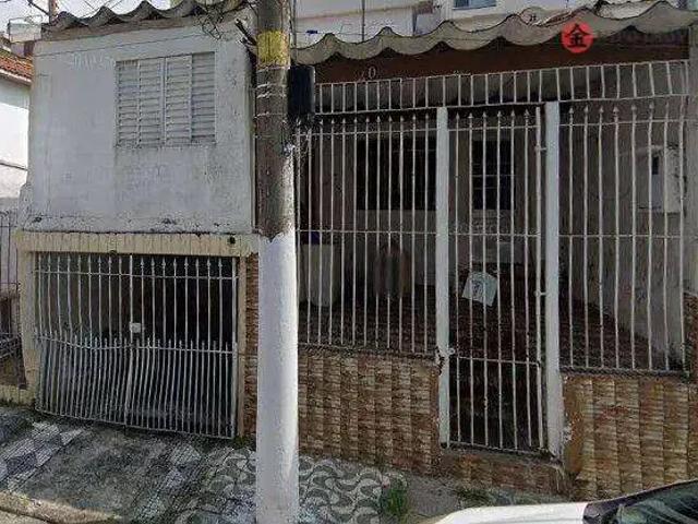 Terreno / Lote para Venda em São Paulo/SP Vila Carrão