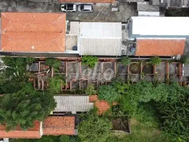 Terreno / Lote para Venda em São Paulo/SP Vila Carrão