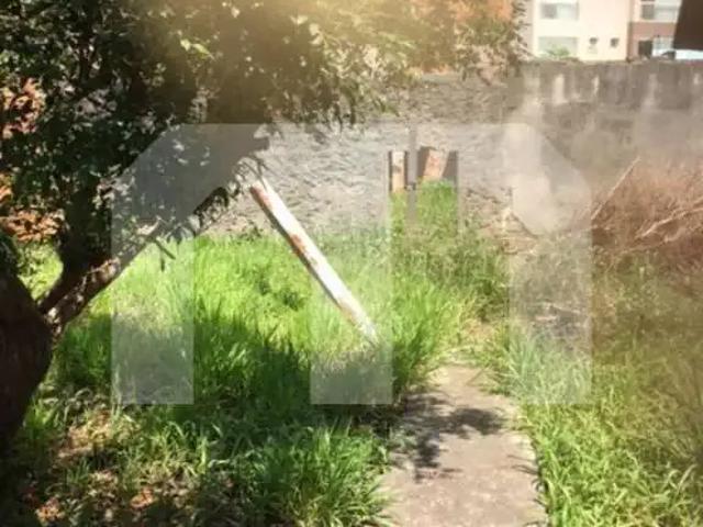 Terreno / Lote para Venda em São Paulo/SP Vila Carrão