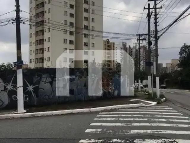 Terreno / Lote para Venda em São Paulo/SP Vila Carrão