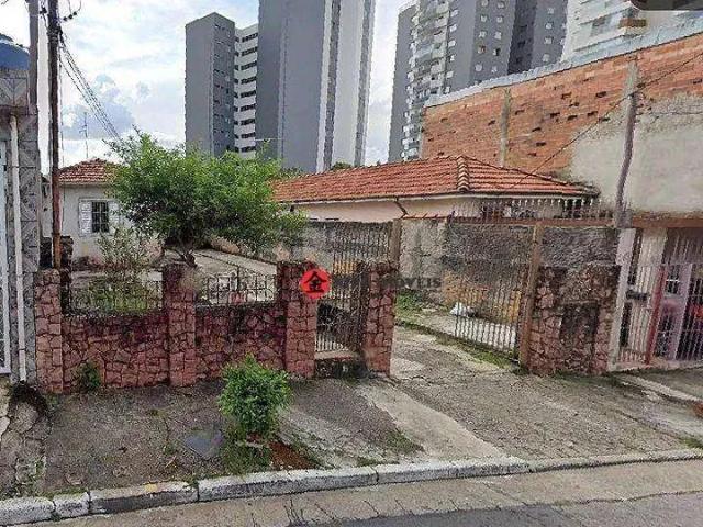 Terreno / Lote para Venda em São Paulo/SP Vila Carrão