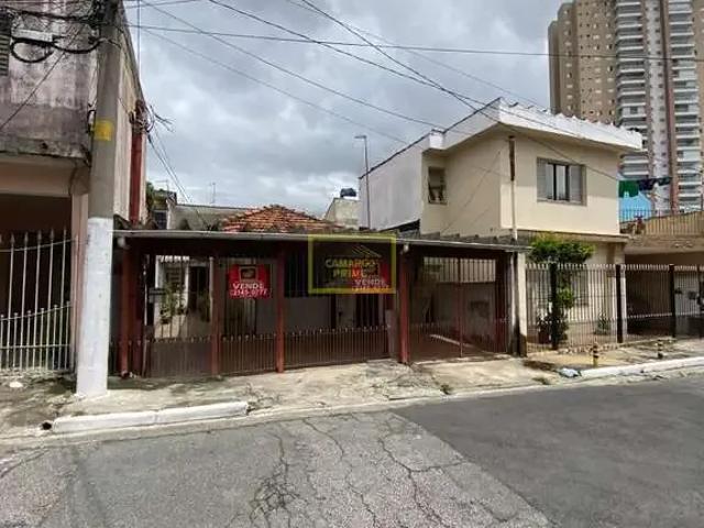 Terreno / Lote para Venda em São Paulo/SP Vila Carrão