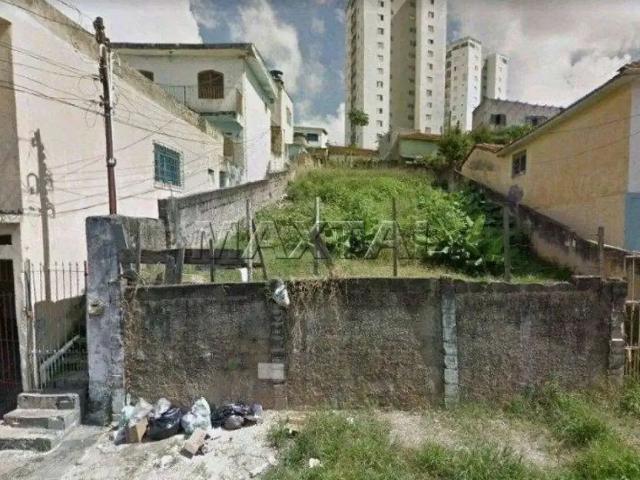 Terreno / Lote para Venda em São Paulo/SP Vila Celeste