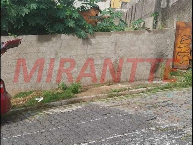 Terreno / Lote para Venda em São Paulo/SP Vila Celeste