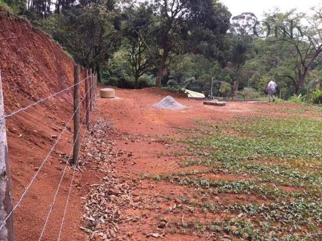 Terreno / Lote para Venda em São Paulo/SP Vila Clarice