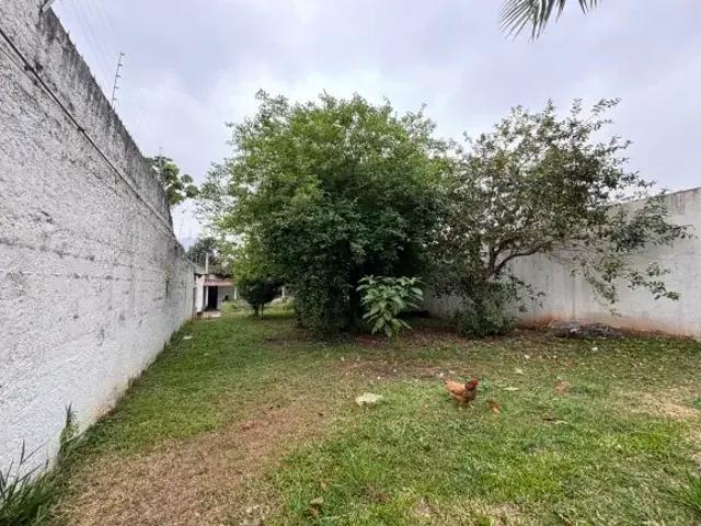Terreno / Lote para Venda em São Paulo/SP Vila Clarice