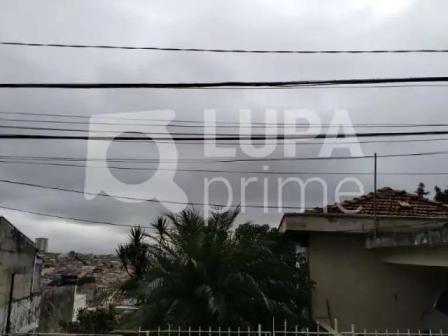 Terreno / Lote para Venda em São Paulo/SP Vila Constança