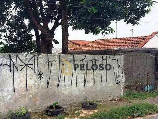 Terreno / Lote para Venda em São Paulo/SP Vila Constança