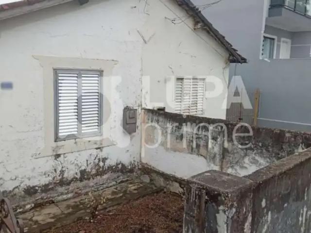 Terreno / Lote para Venda em São Paulo/SP Vila Constança