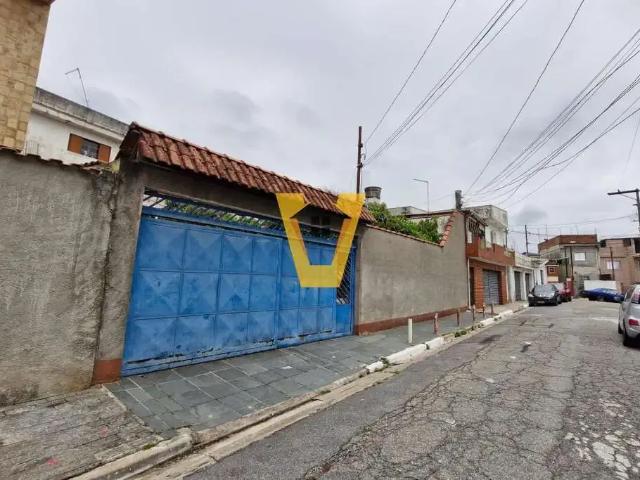 Terreno / Lote para Venda em São Paulo/SP Vila Constança