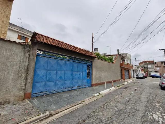 Terreno / Lote para Venda em São Paulo/SP Vila Constança