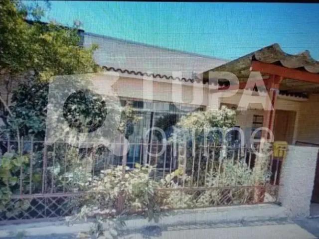 Terreno / Lote para Venda em São Paulo/SP Vila Constança