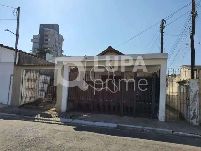 Terreno / Lote para Venda em São Paulo/SP Vila Constança