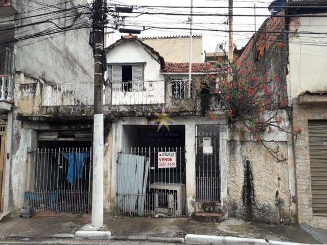Terreno / Lote para Venda em São Paulo/SP Vila Dalila