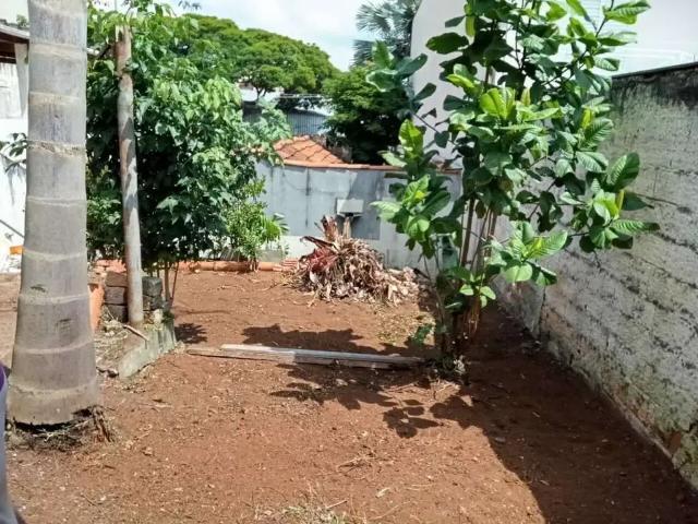 Terreno / Lote para Venda em São Paulo/SP Vila Diva Zona Leste