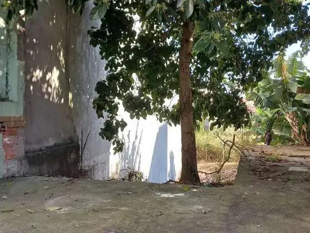 Terreno / Lote para Venda em São Paulo/SP Vila do Castelo
