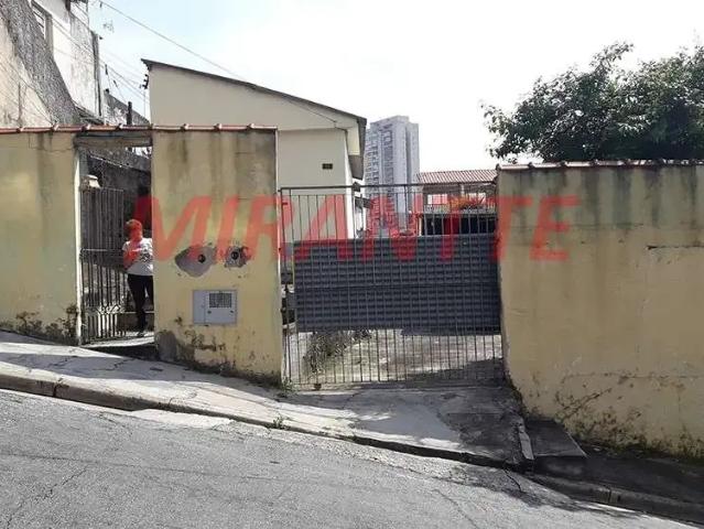 Terreno / Lote para Venda em São Paulo/SP Vila Ede