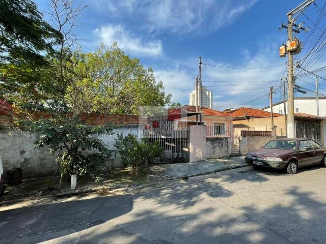 Terreno / Lote para Venda em São Paulo/SP Vila Ede