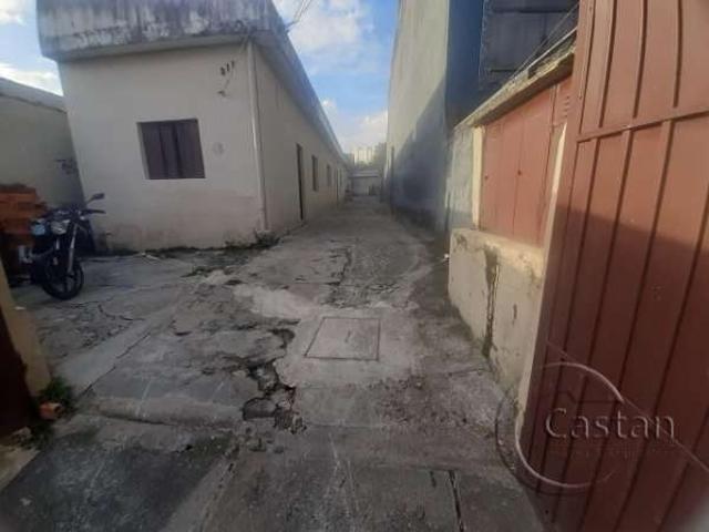 Terreno / Lote para Venda em São Paulo/SP Vila Ema