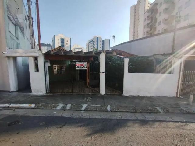 Terreno / Lote para Venda em São Paulo/SP Vila Ema
