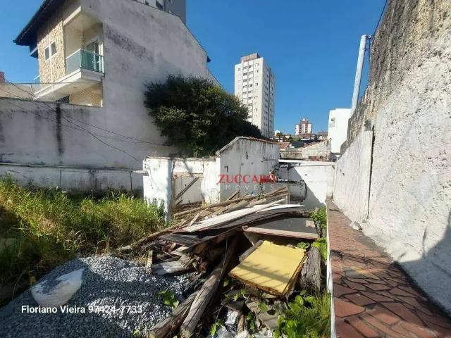 Terreno / Lote para Venda em São Paulo/SP Vila Esperança