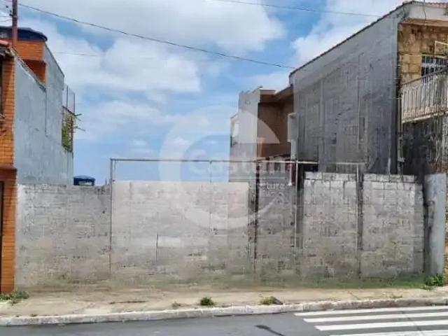Terreno / Lote para Venda em São Paulo/SP Vila Formosa