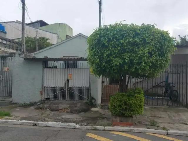 Terreno / Lote para Venda em São Paulo/SP Vila Formosa