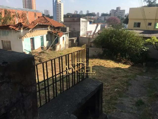 Terreno / Lote para Venda em São Paulo/SP Vila Formosa