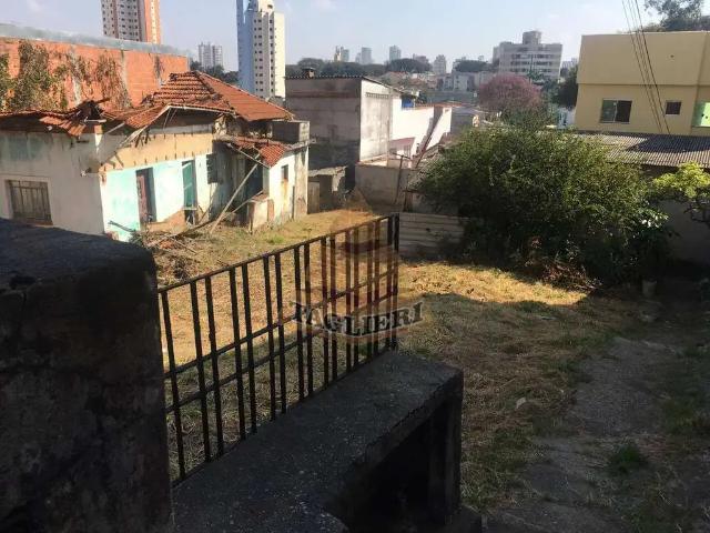 Terreno / Lote para Venda em São Paulo/SP Vila Formosa