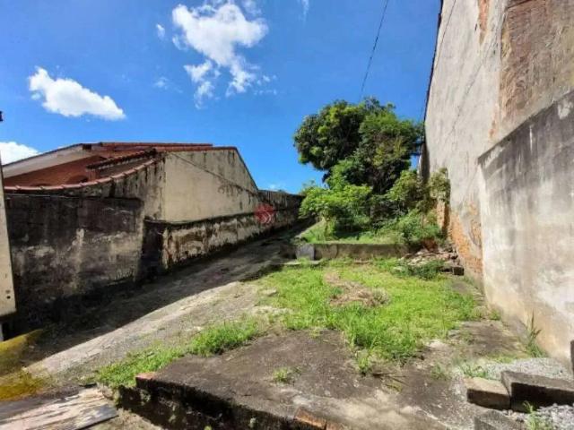 Terreno / Lote para Venda em São Paulo/SP Vila Formosa