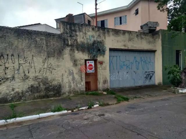 Terreno / Lote para Venda em São Paulo/SP Vila Formosa