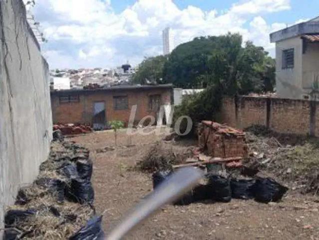 Terreno / Lote para Venda em São Paulo/SP Vila Formosa