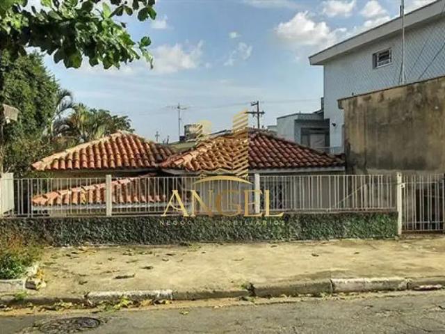 Terreno / Lote para Venda em São Paulo/SP Vila Formosa