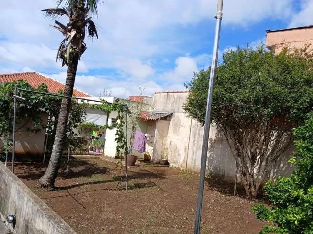 Terreno / Lote para Venda em São Paulo/SP Vila Formosa