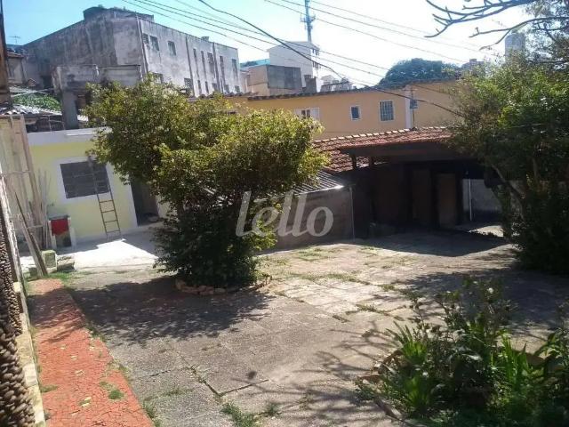 Terreno / Lote para Venda em São Paulo/SP Vila Formosa