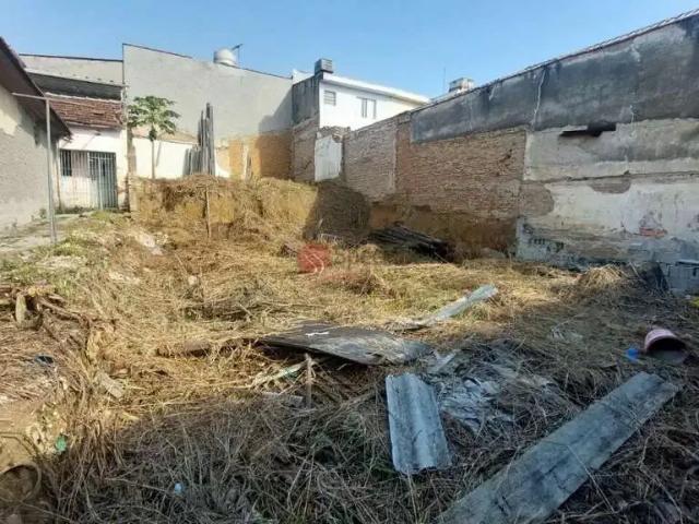 Terreno / Lote para Venda em São Paulo/SP Vila Formosa