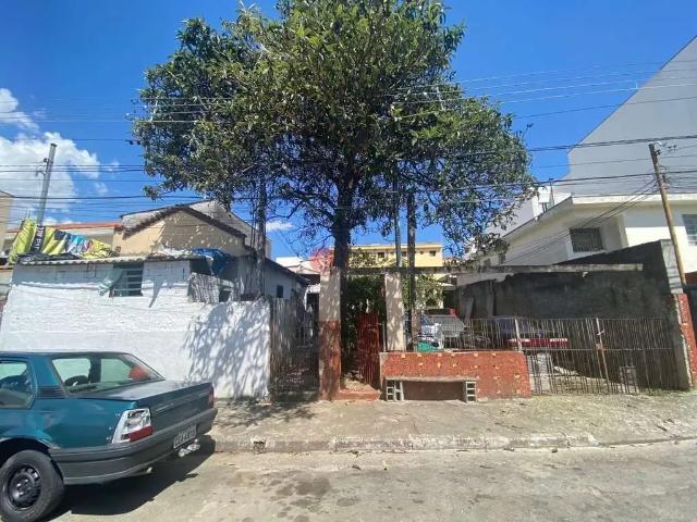 Terreno / Lote para Venda em São Paulo/SP Vila Formosa