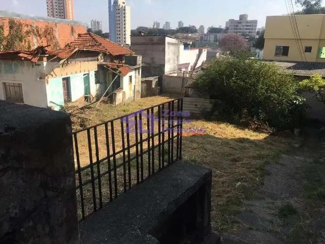 Terreno / Lote para Venda em São Paulo/SP Vila Formosa