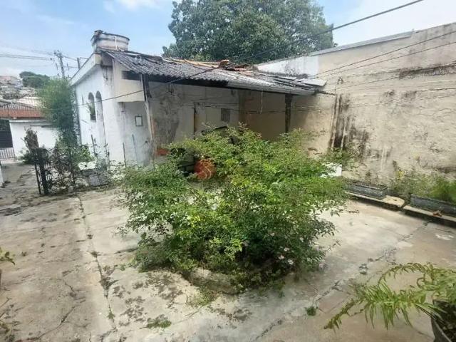 Terreno / Lote para Venda em São Paulo/SP Vila Formosa