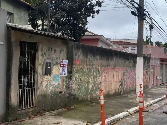 Terreno / Lote para Venda em São Paulo/SP Vila Formosa