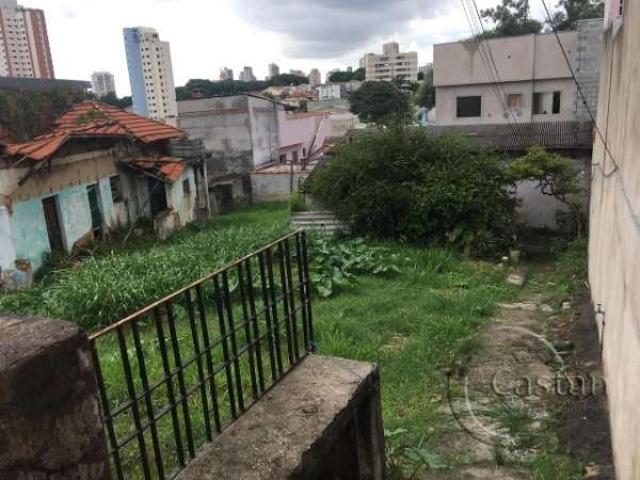 Terreno / Lote para Venda em São Paulo/SP Vila Formosa