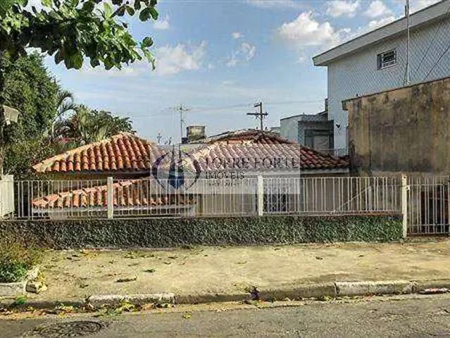 Terreno / Lote para Venda em São Paulo/SP Vila Formosa