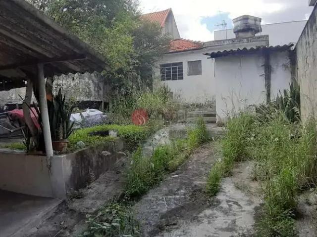 Terreno / Lote para Venda em São Paulo/SP Vila Formosa